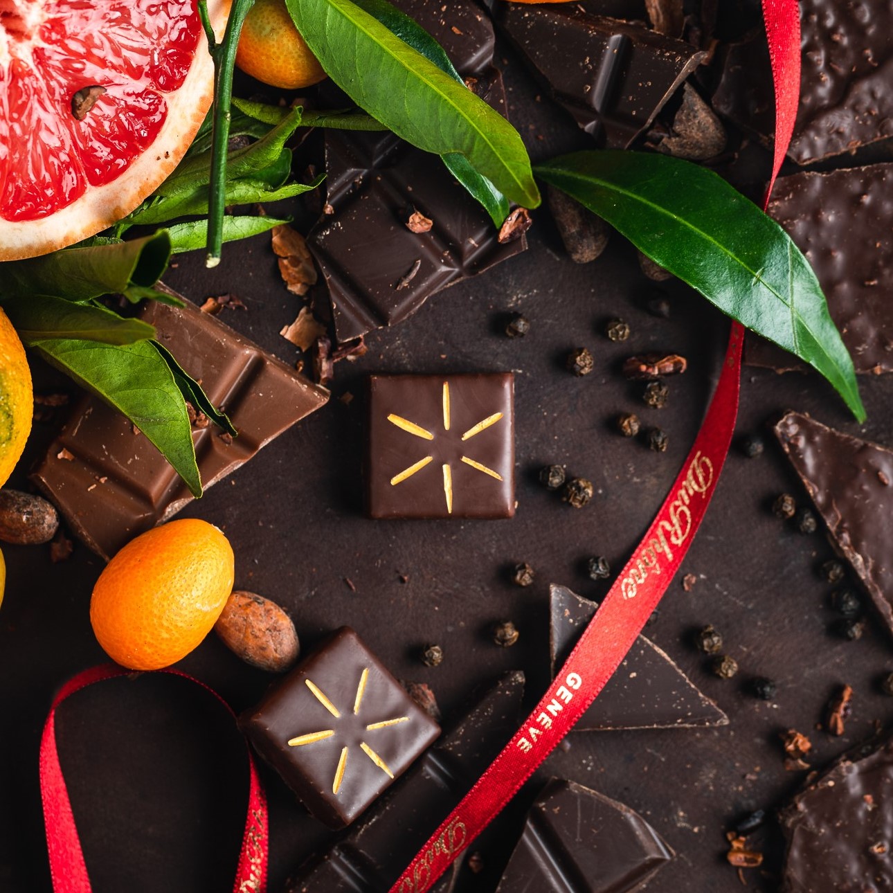 Dégustation de chocolats